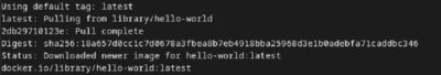 How to Install Docker on Manjaro Linux 21 - Linux Genie