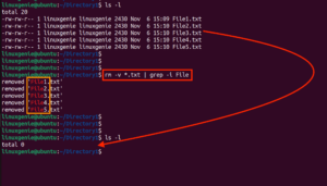 How to Delete a File in Linux/Ubuntu Terminal? - Linux Genie