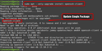How to Update Packages on Linux Mint? - Linux Genie