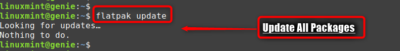 How to Update Packages on Linux Mint? - Linux Genie