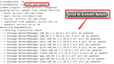 How to Update Packages on Linux Mint? - Linux Genie