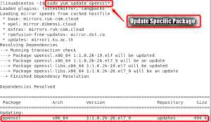 How to Update Packages on Linux Mint? - Linux Genie